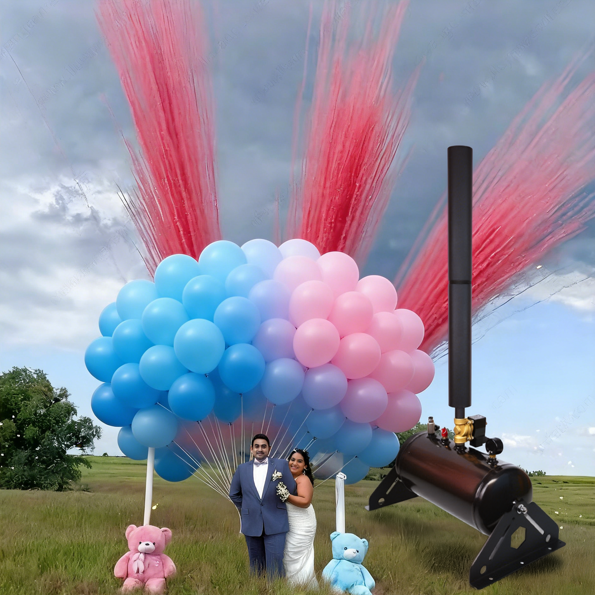 Gender reveal cannon